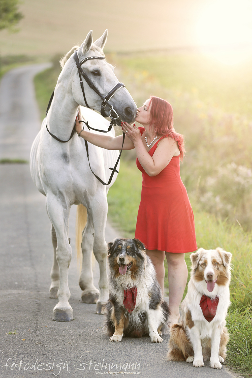 Wunderschönes Pferdefotoshooting